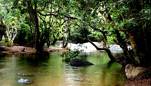 Kuruva Dweep wayanad (Kuruva Island)